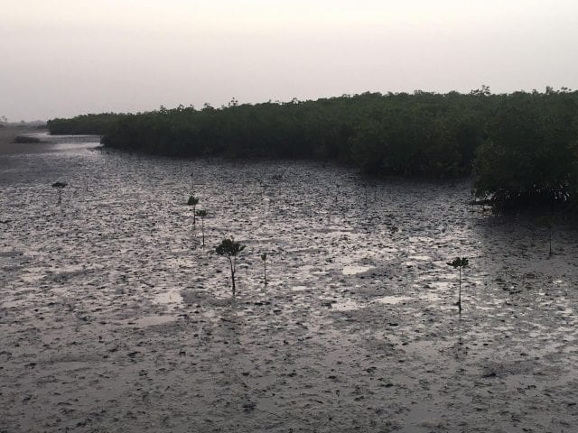 Viaggio in Senegal: dove andare e cosa vedere