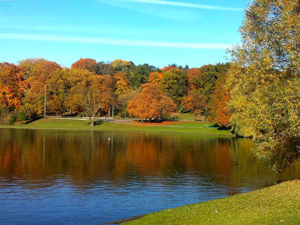 Cosa vedere a Bruxelles in 3 giorni